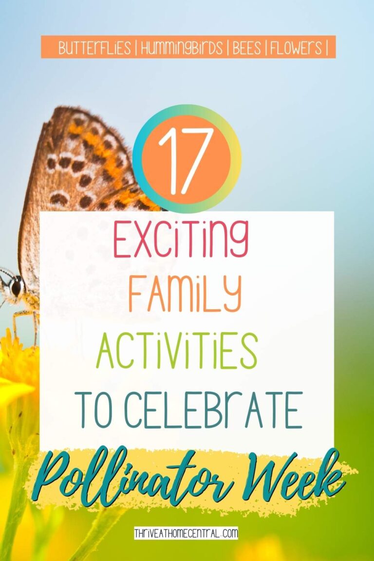 17 Exciting Family Activities to Celebrate Pollinator Week - Thrive at Home